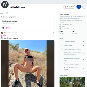 Reddit Public Sex, Voyeur Porn Sites