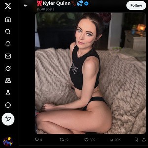 Kyler Quinn, Twitter Pornokontoer